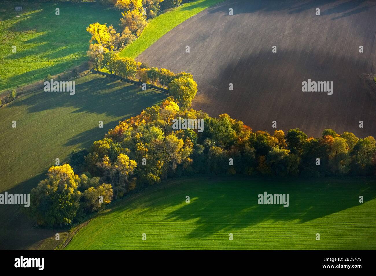, field landscape with field groves, 26.10.2015, aerial view, Germany ...