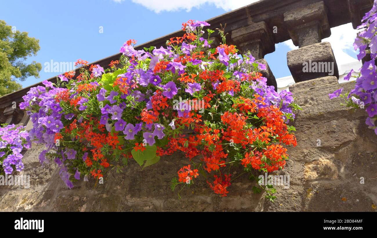 Stone wall and flower container hi-res stock photography and images - Alamy