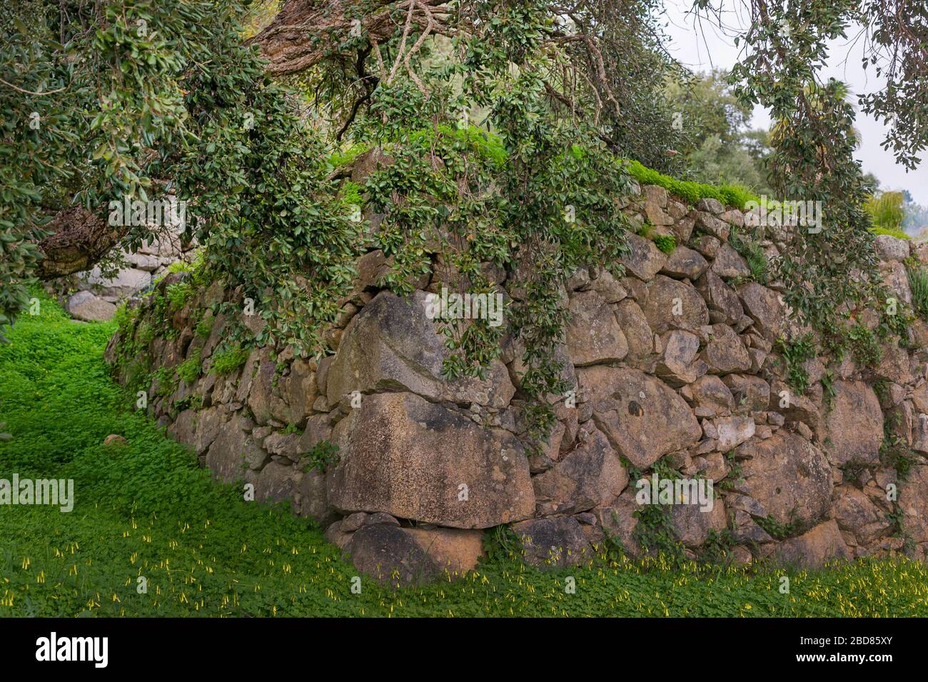 Portugal stone wall hi-res stock photography and images - Alamy