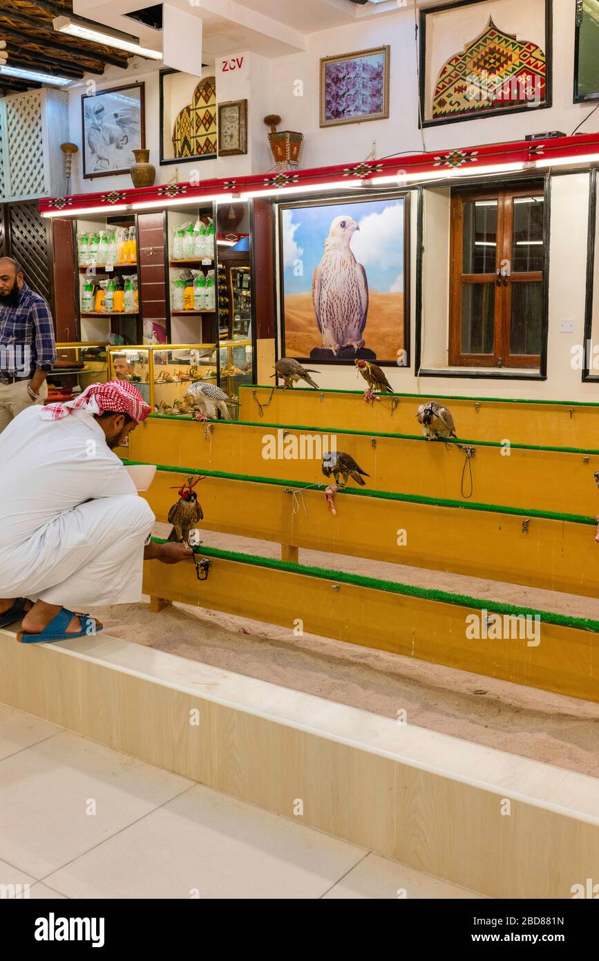 Falconry scenes hi-res stock photography and images - Alamy