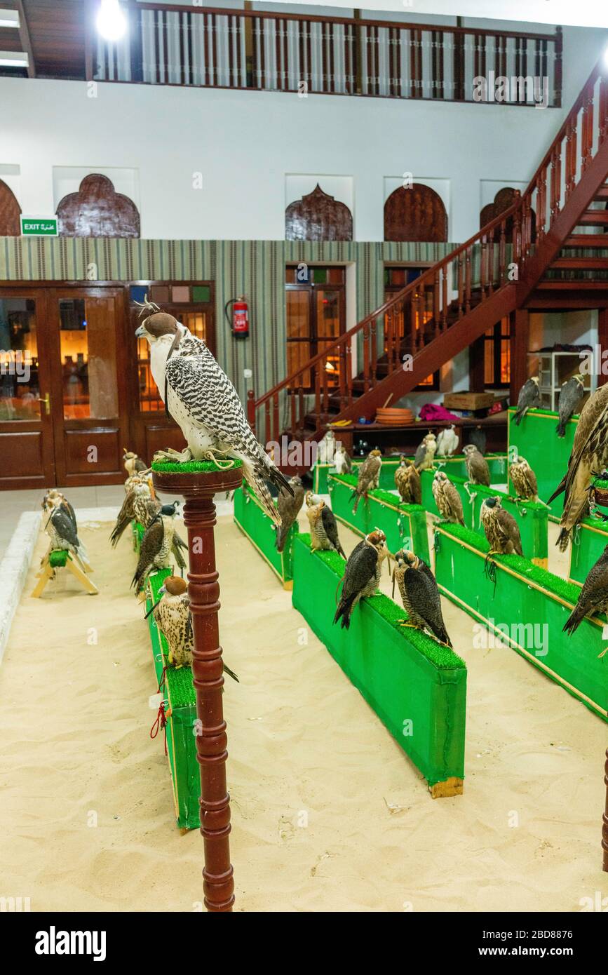 Falcons for sale. Night Market. Scenes of Doha, Qatar Stock Photo - Alamy