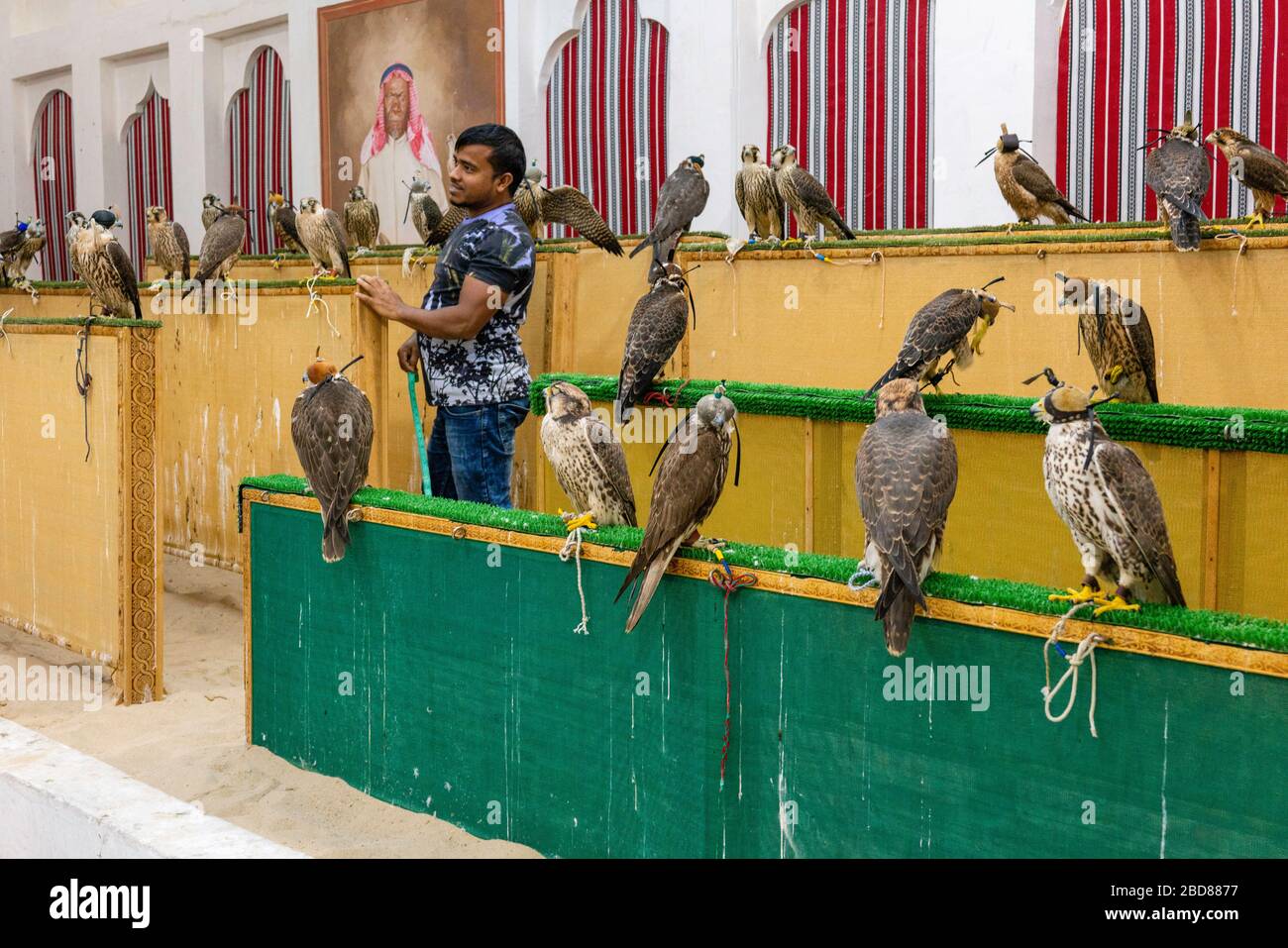 Discover doha hi-res stock photography and images - Alamy