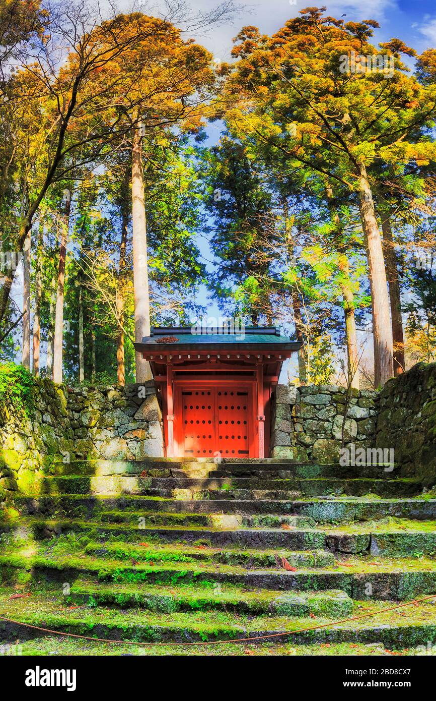 Japanese red pine trees hi-res stock photography and images - Alamy