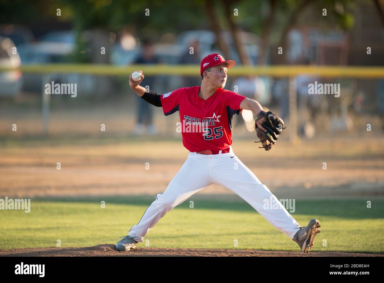 Pitcher Baseball Windup