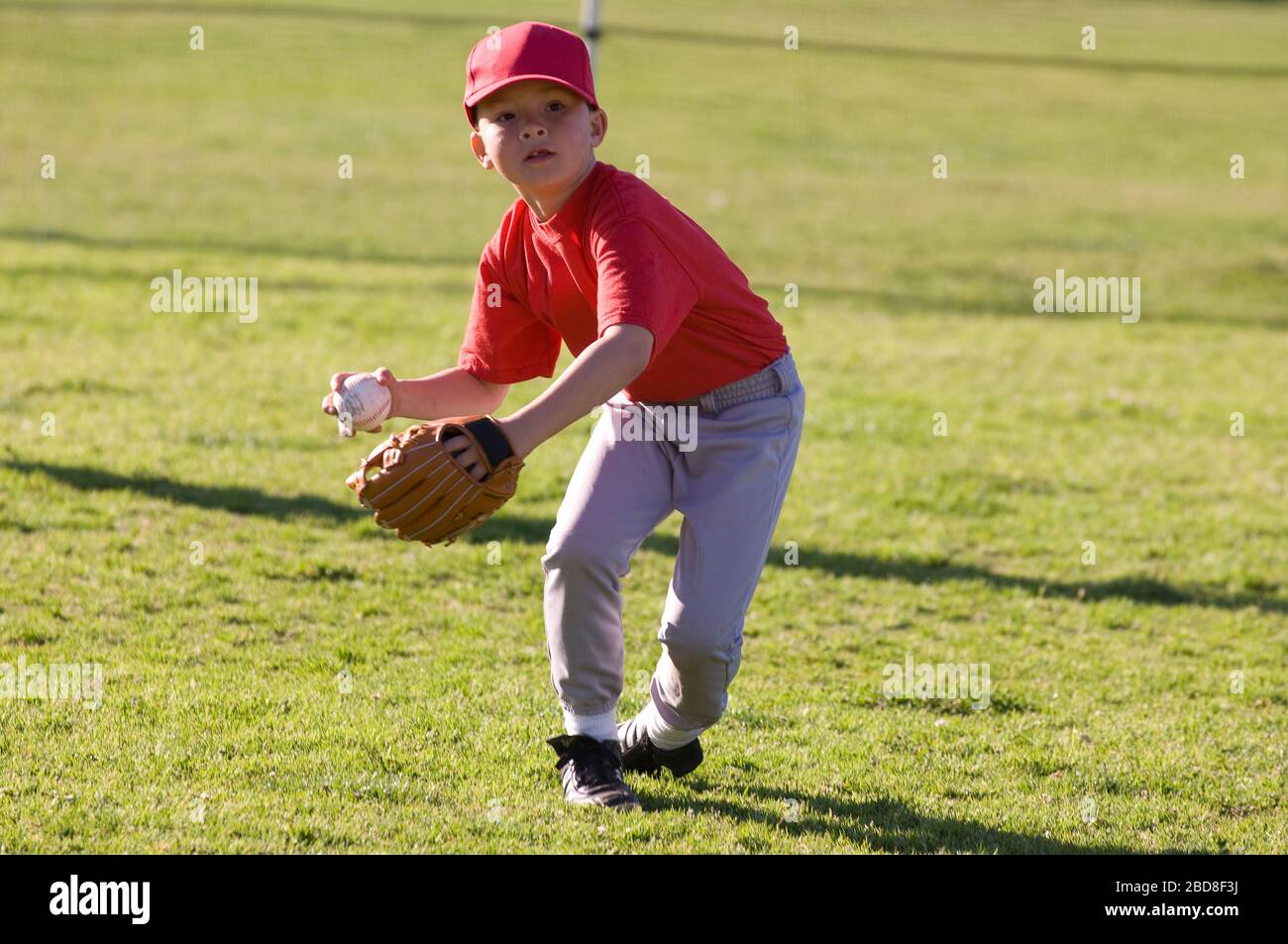 Young boy fielding a baseball during TBall game Stock Photo - Alamy