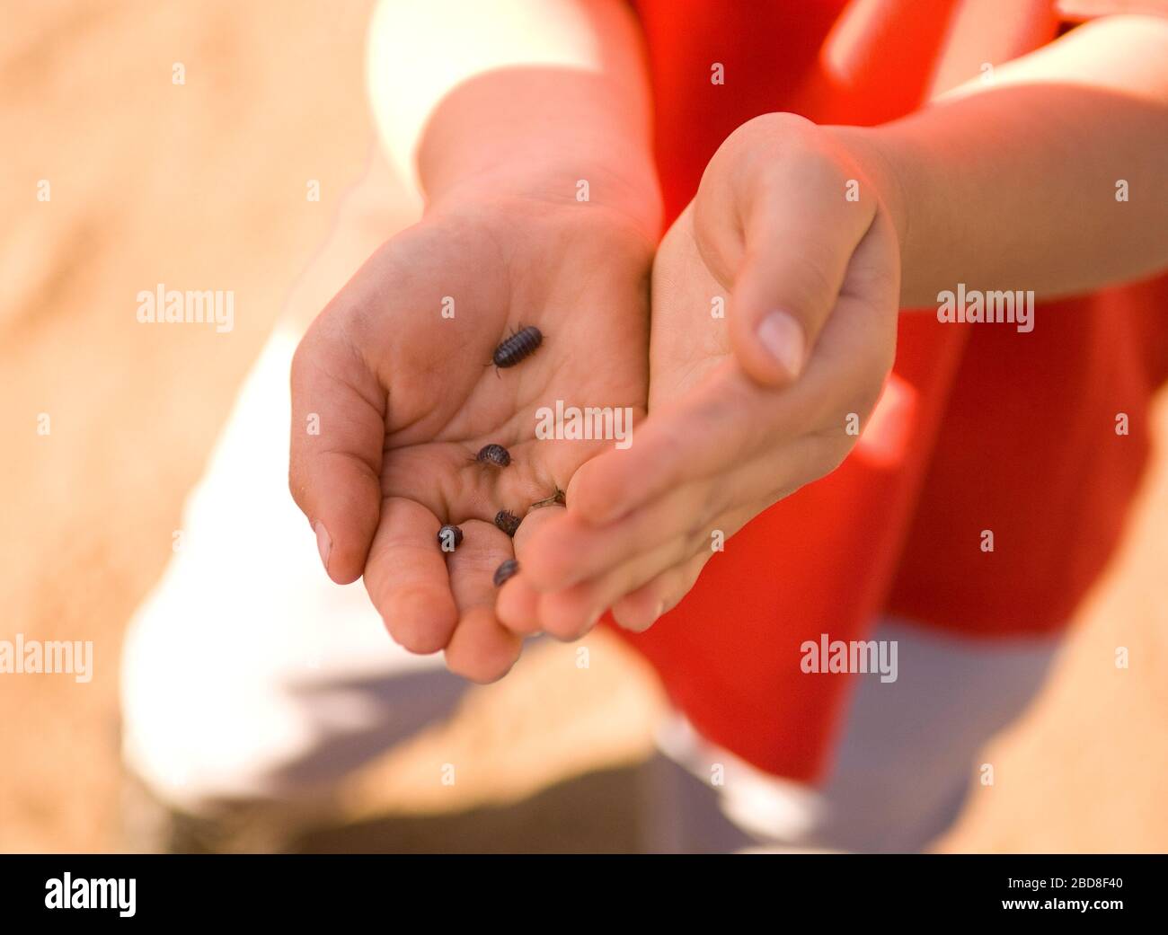 Boys holding hands hi-res stock photography and images - Alamy