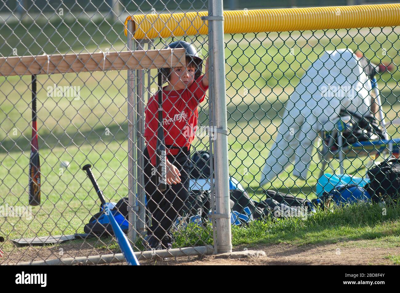 Player standing behind chain link fence in dugout ready to go to bat ...