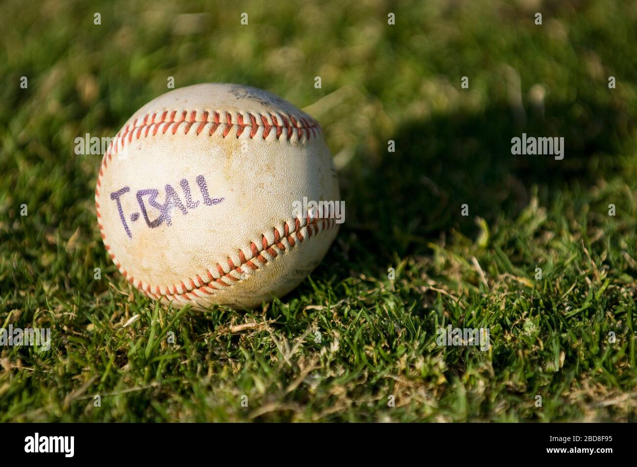 Baseball field grass hi-res stock photography and images - Alamy