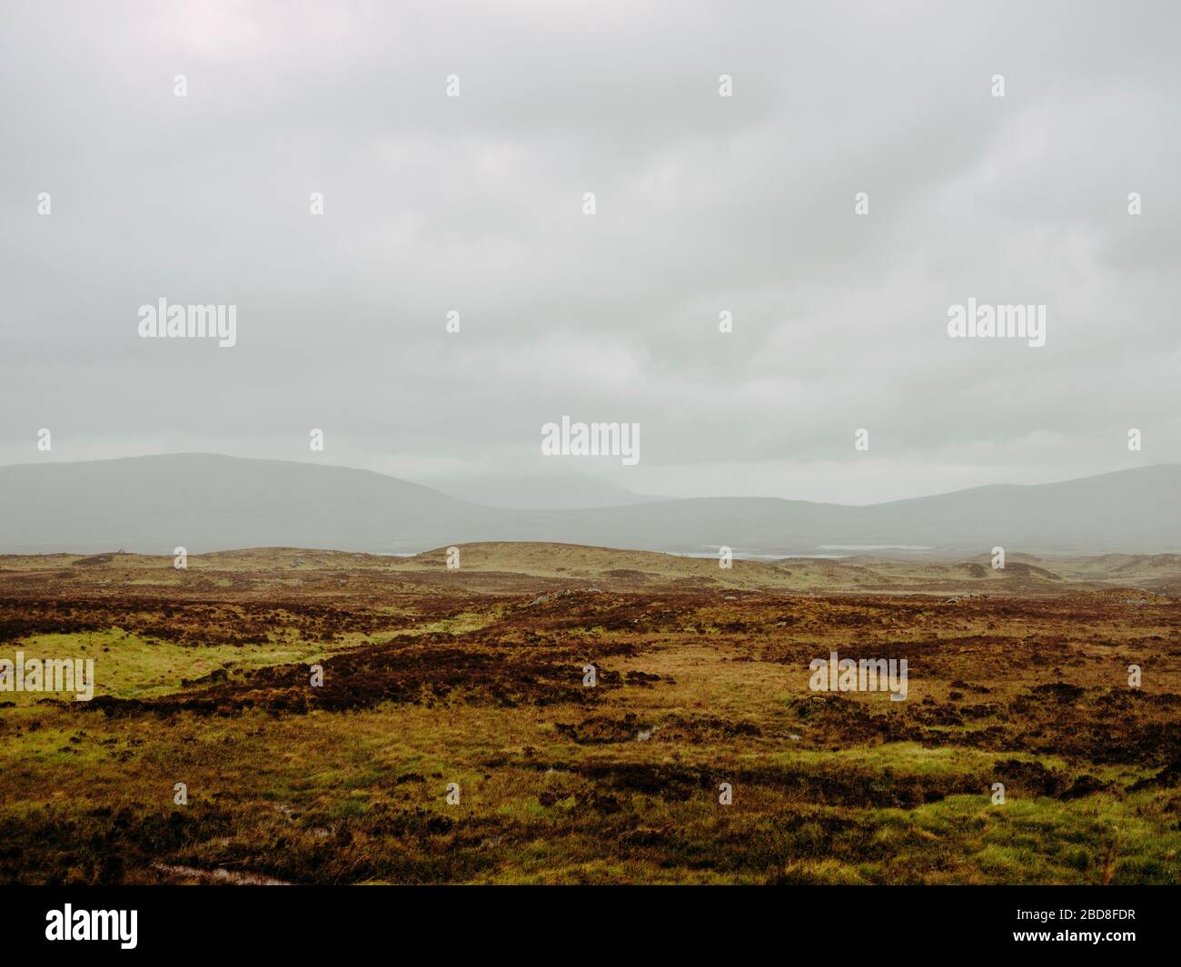 Physical mor hi-res stock photography and images - Alamy
