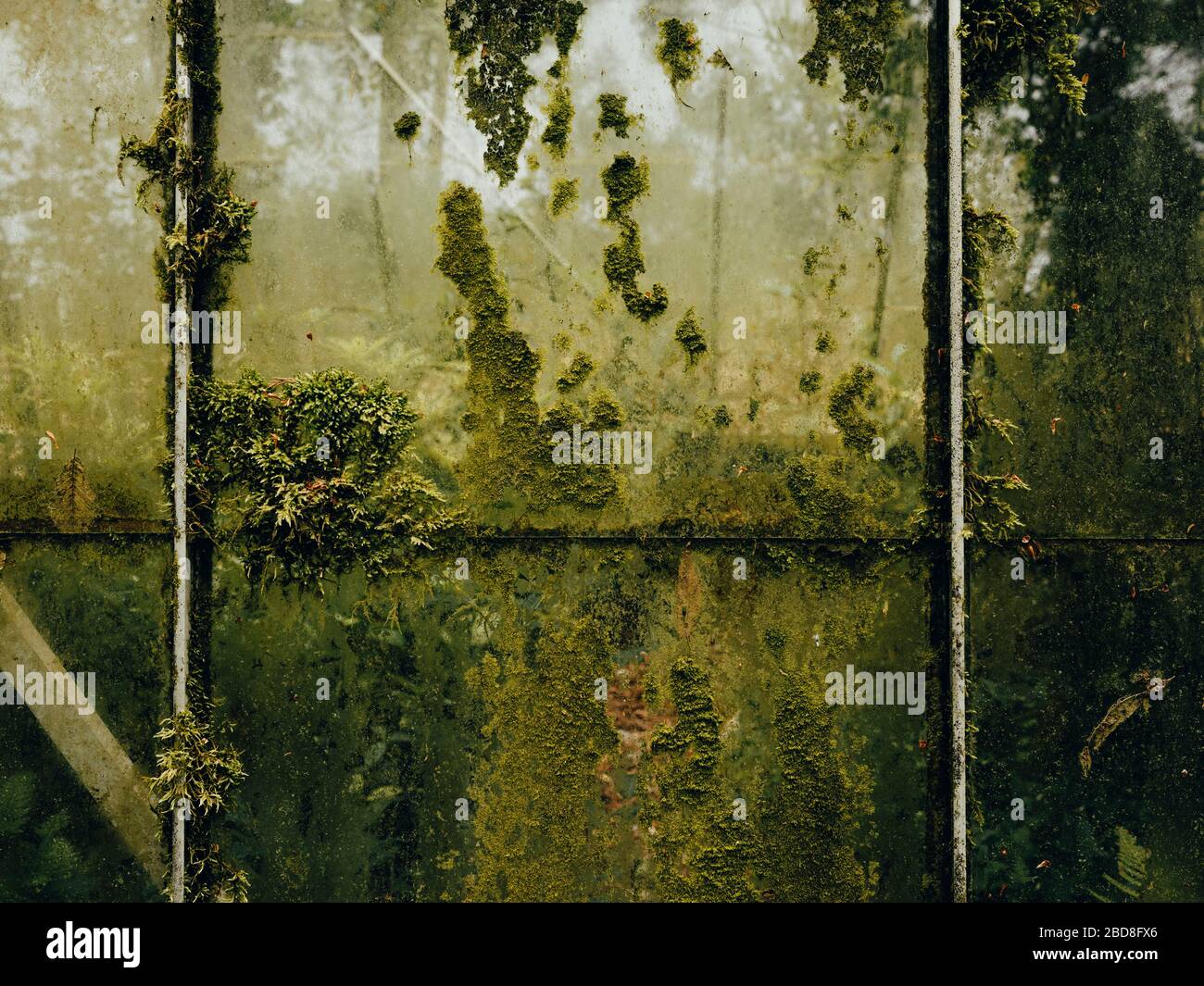 Moss growing on house hi-res stock photography and images - Alamy