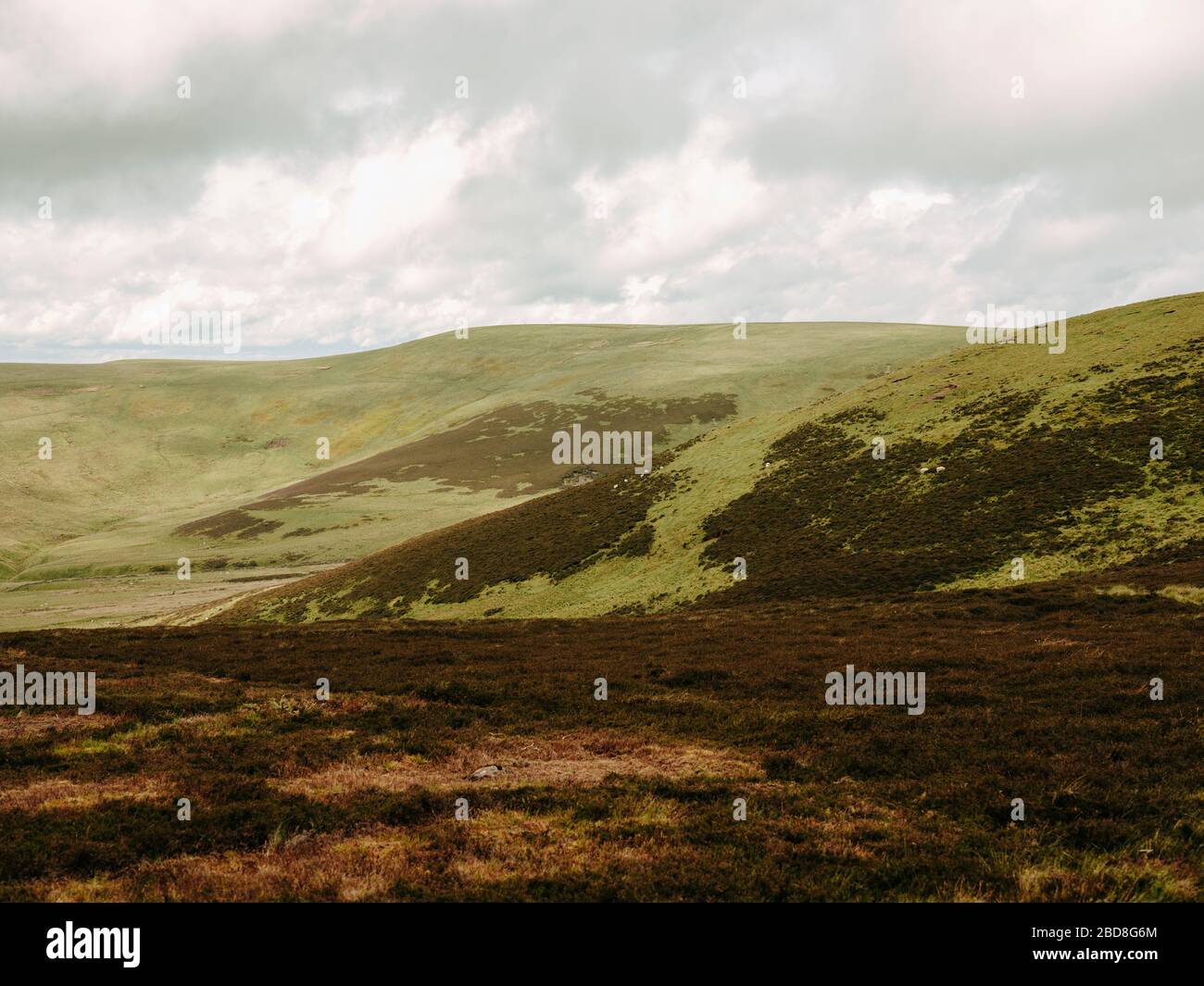 Rolling hills in Scottish countryside Stock Photo - Alamy