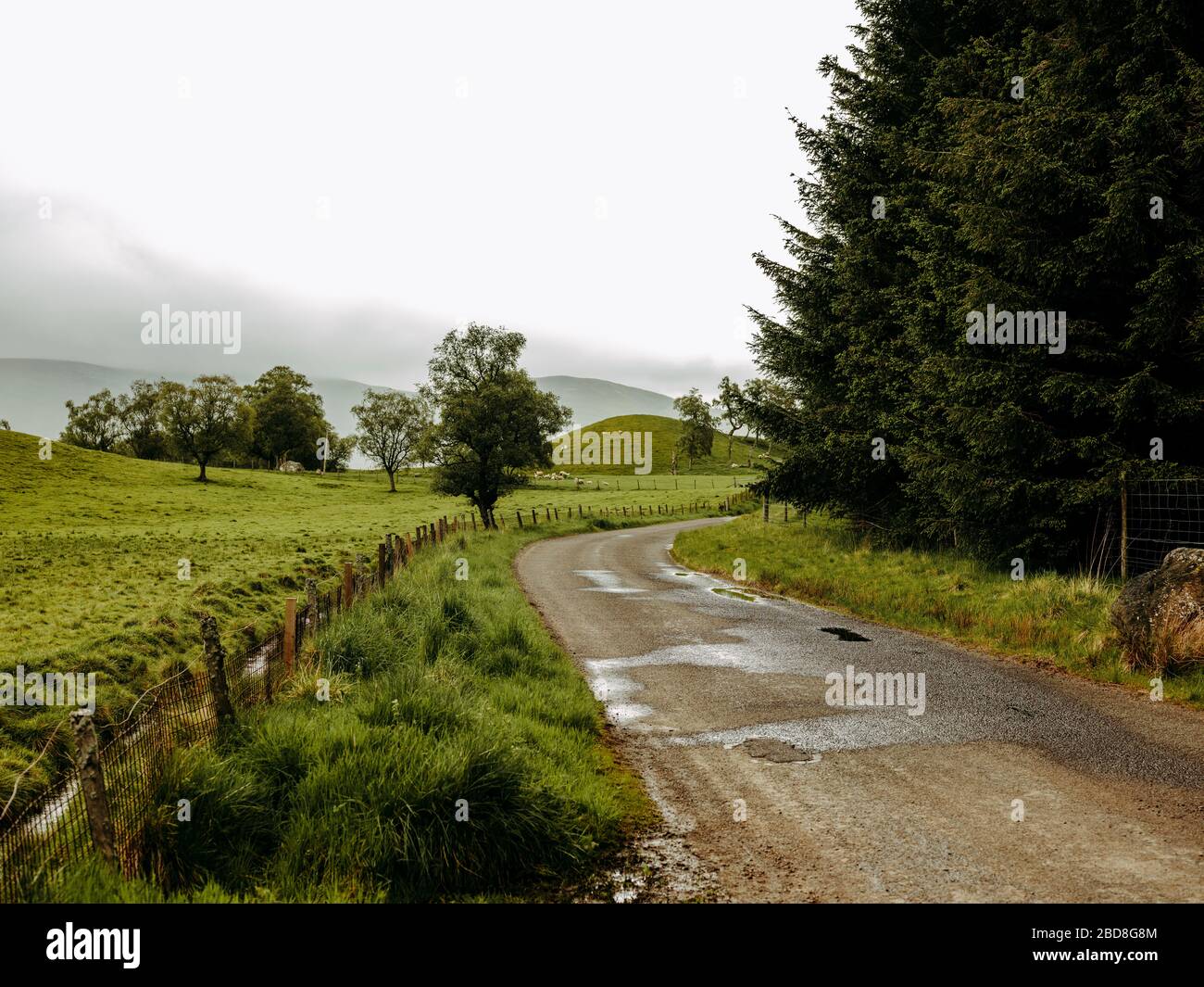 Country road going through pastures in Scotland Stock Photo - Alamy