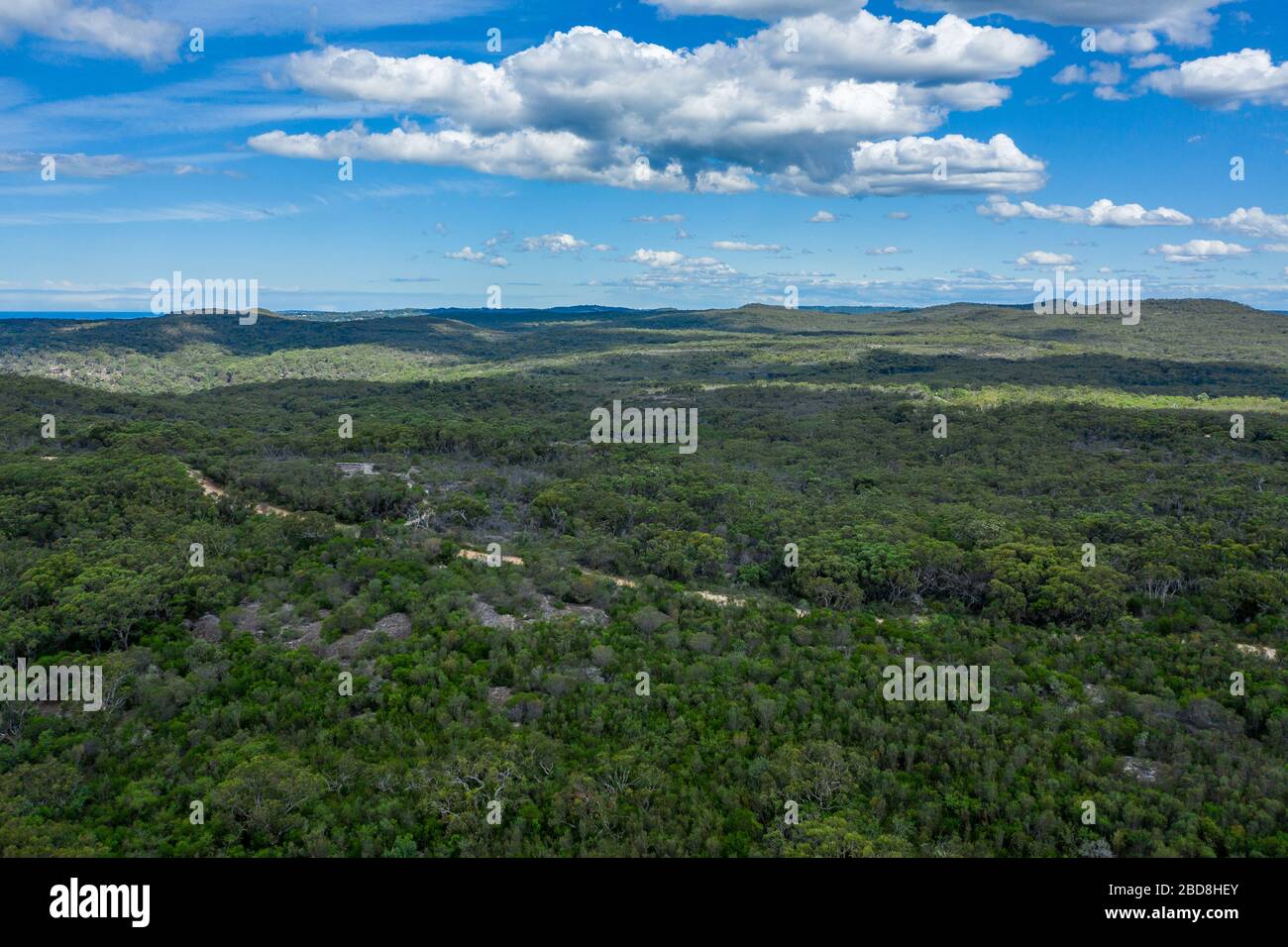 Aerial view of hills and forest at Ku-ring-gai Chase National Park, New ...