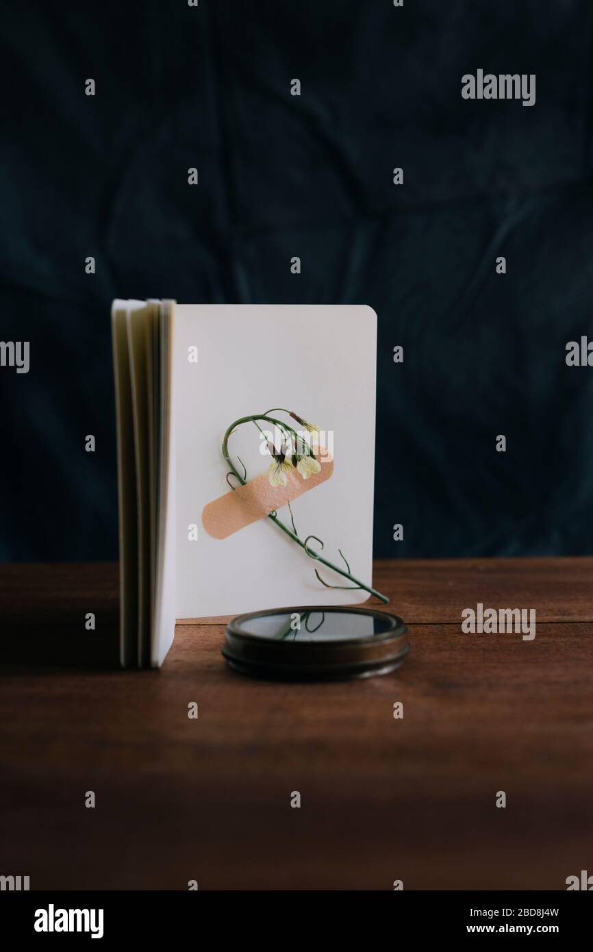 Band aid hi-res stock photography and images - Alamy