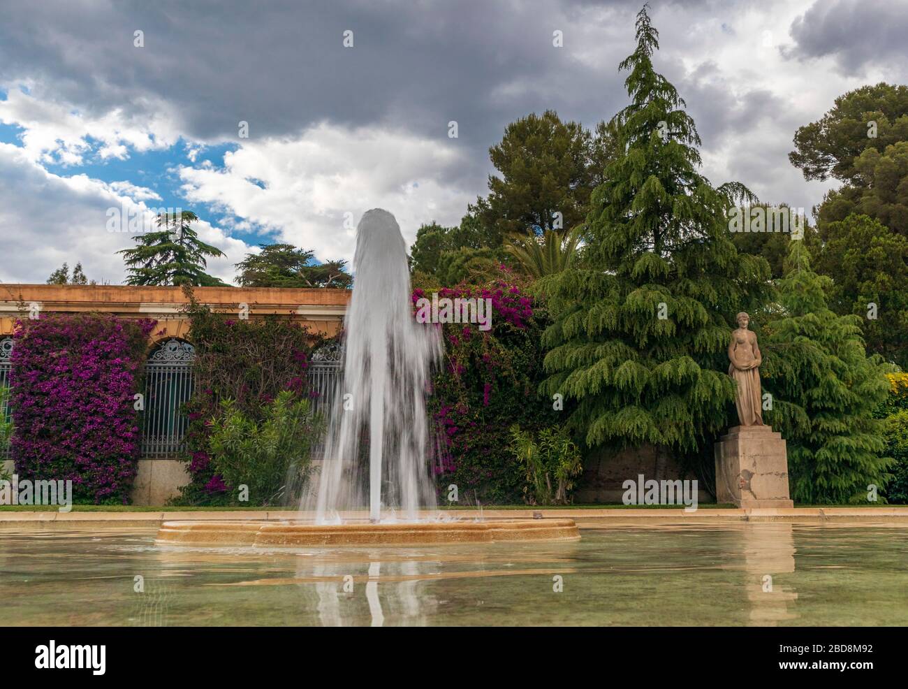 Fountain tree hi-res stock photography and images - Alamy