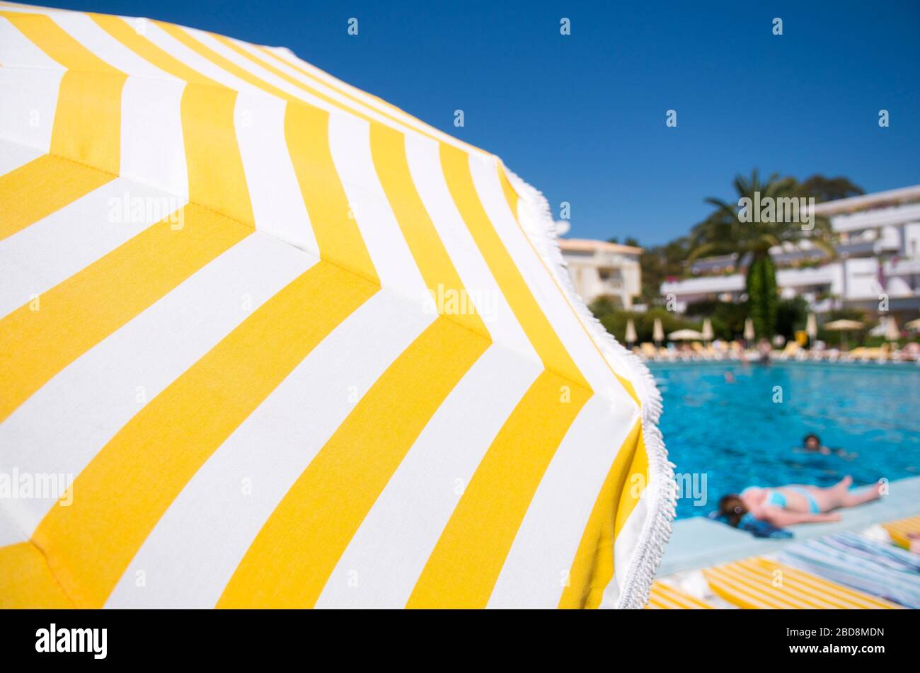 Sunny view of bright yellow and white striped pool umbrella in tropical ...