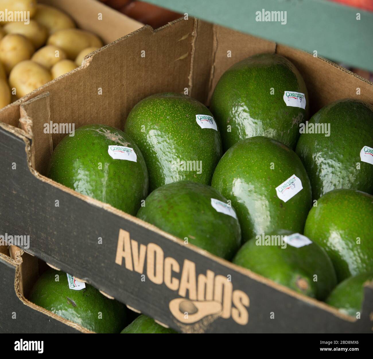 Avocados box hi-res stock photography and images - Alamy