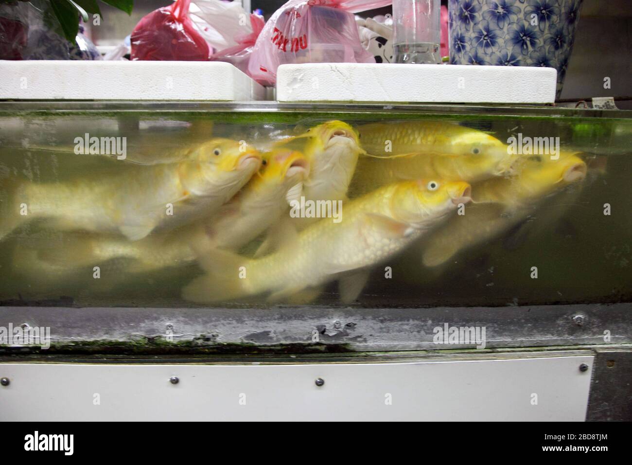 Food market in Chinatown, San Francisco, CA Stock Photo - Alamy