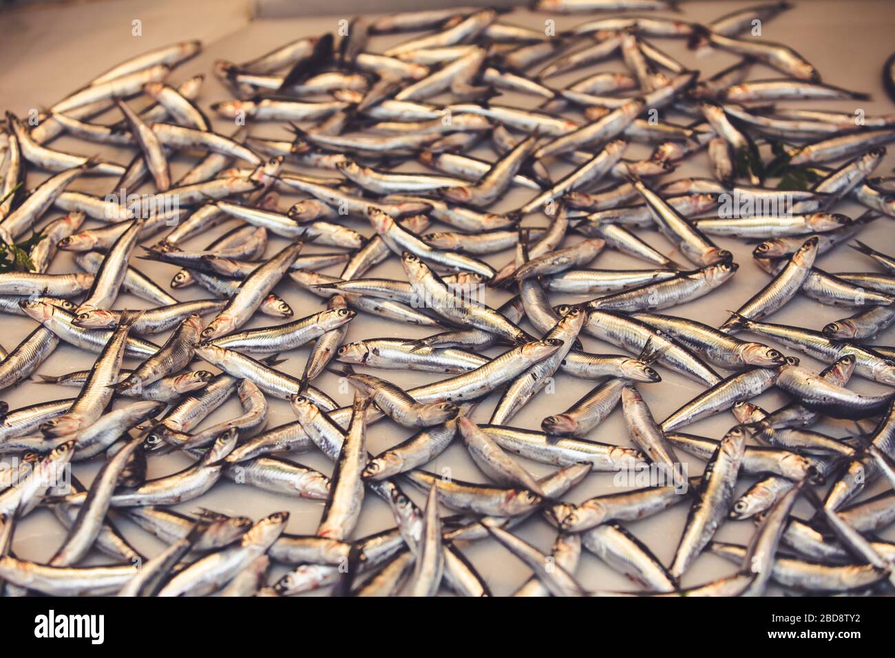 Fresh Mediterranean Fish prepared to be sold in a market place in ...
