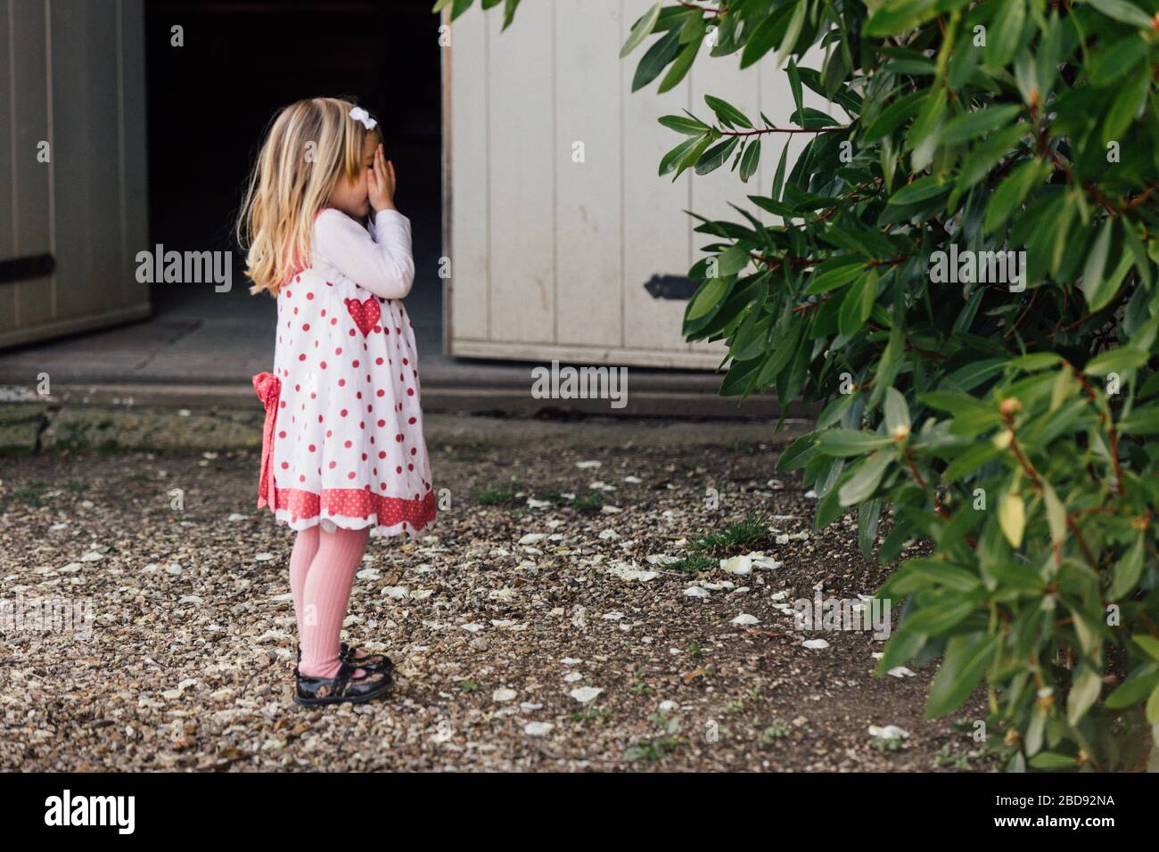 Blonde girl plays hide and seek at a wedding celebration Stock Photo ...