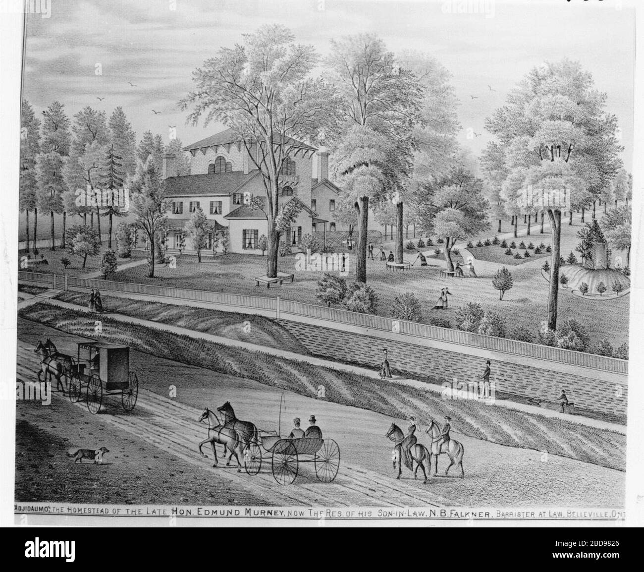 Belden bridge hi-res stock photography and images - Alamy