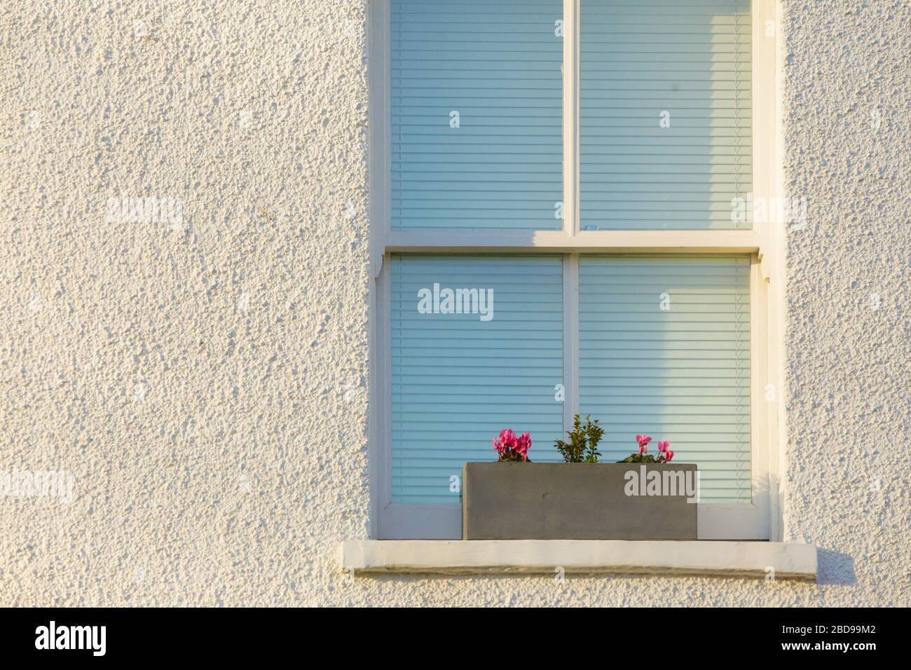 Planters flowers outside a window seen from the street Stock Photo - Alamy