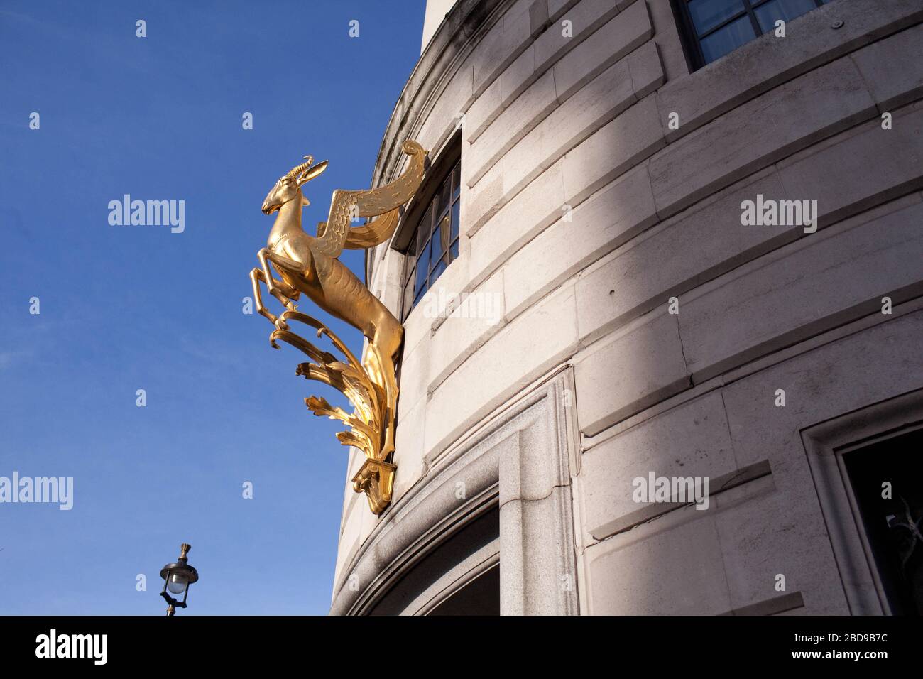 Golden Springbok sculpture on the South African High Commission ...