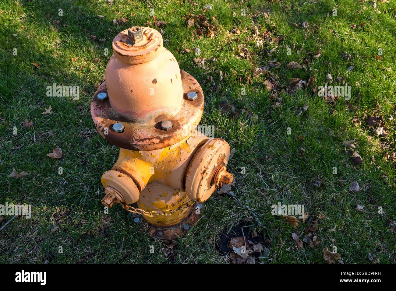 Yellow fire hydrant on city hi-res stock photography and images - Alamy