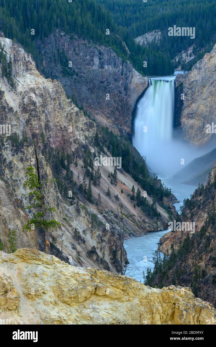 Grand canyon of yellowstone in summer hi-res stock photography and ...