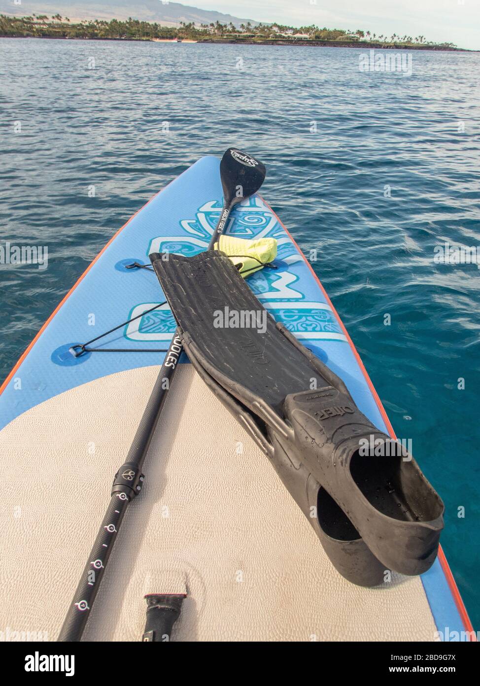 Paddle Board And Freediving Fins Stock Photo Alamy paddle-board-and-freediving-fins-stock-photo-alamy