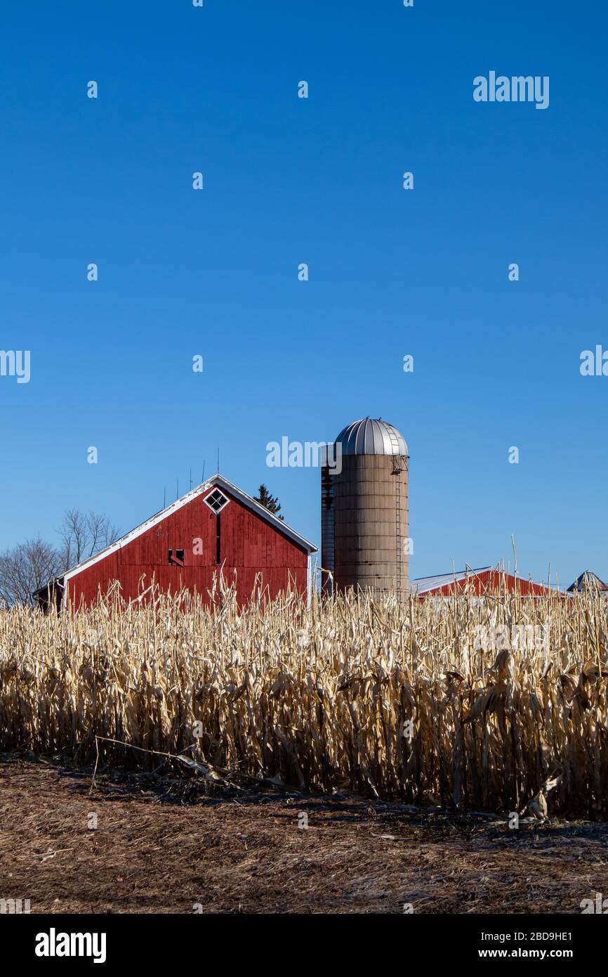 Corn crop farming hi-res stock photography and images - Alamy