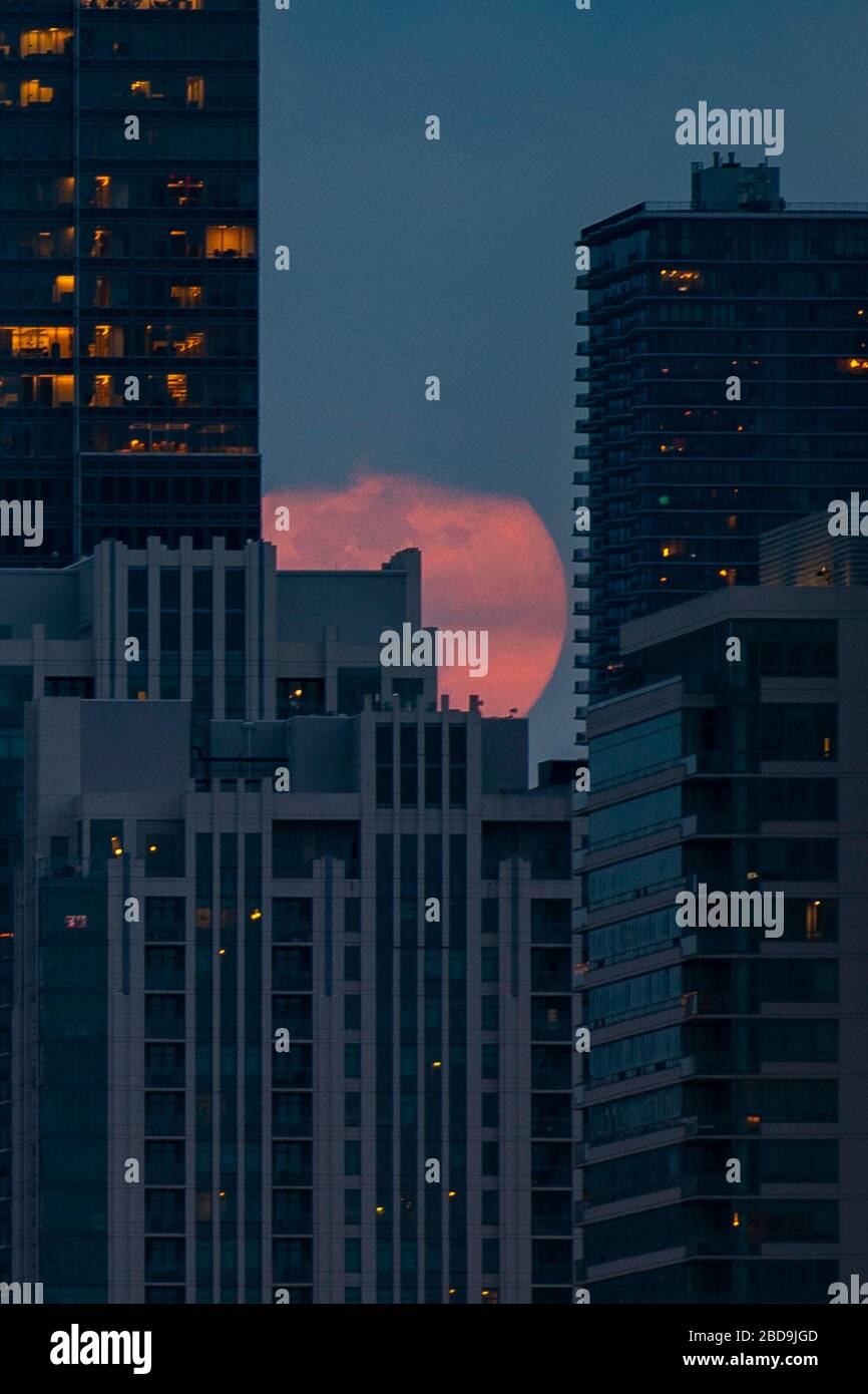 Chicago, Illinois, USA. 07th Apr, 2020. - A view of the rise of the ...