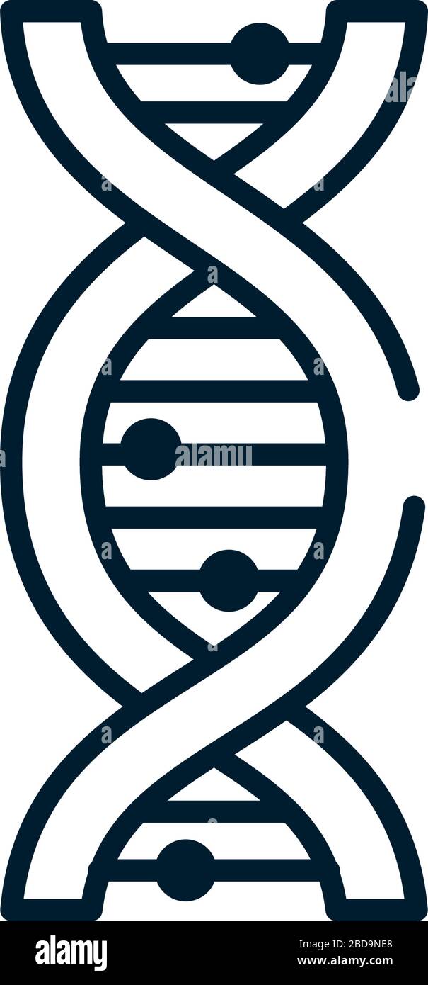 dna chain icon over white background, line style, vector illustration ...