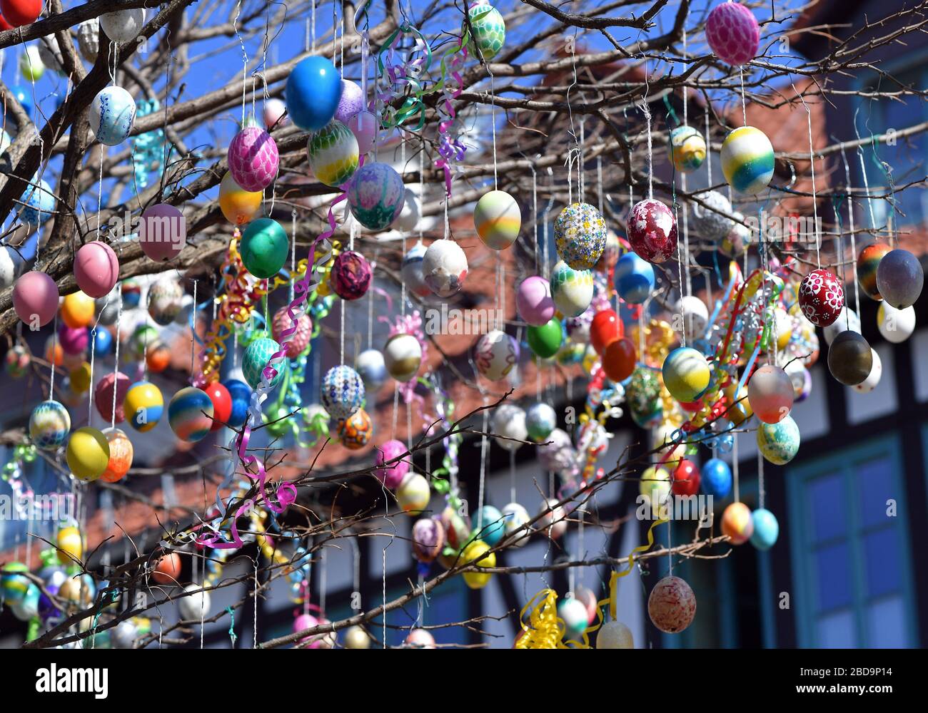 Saalfeld, Germany. 07th Apr, 2020. The Easter egg tree decorated with ...