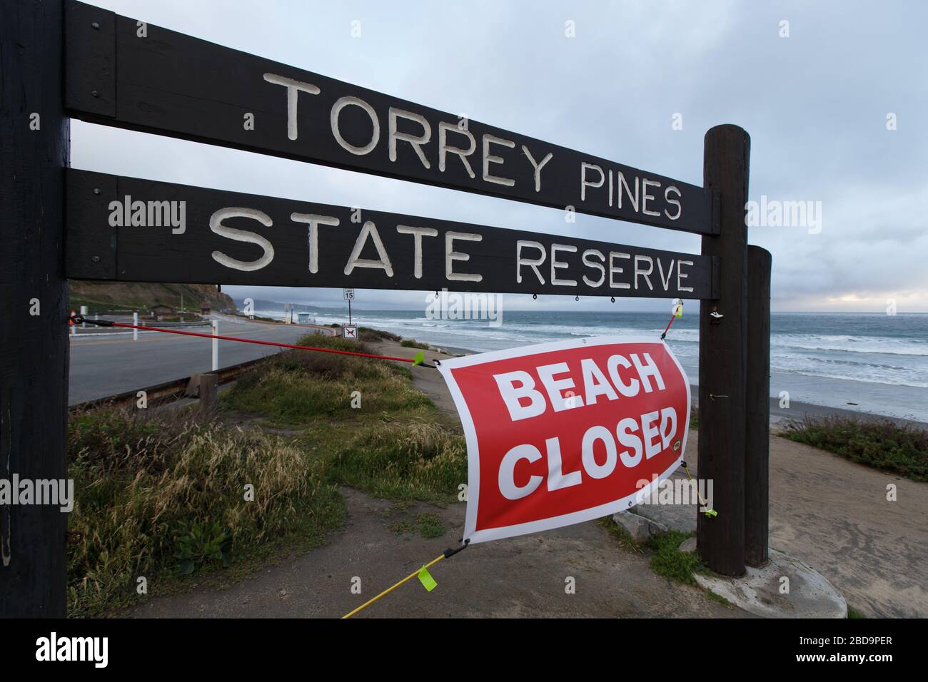 Pines beach hi-res stock photography and images - Alamy