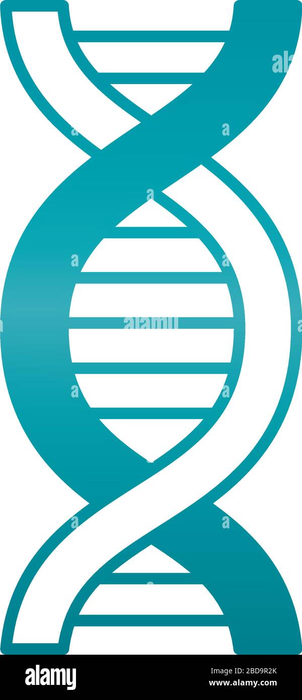 DNA chain icon over white background, gradient style, vector ...