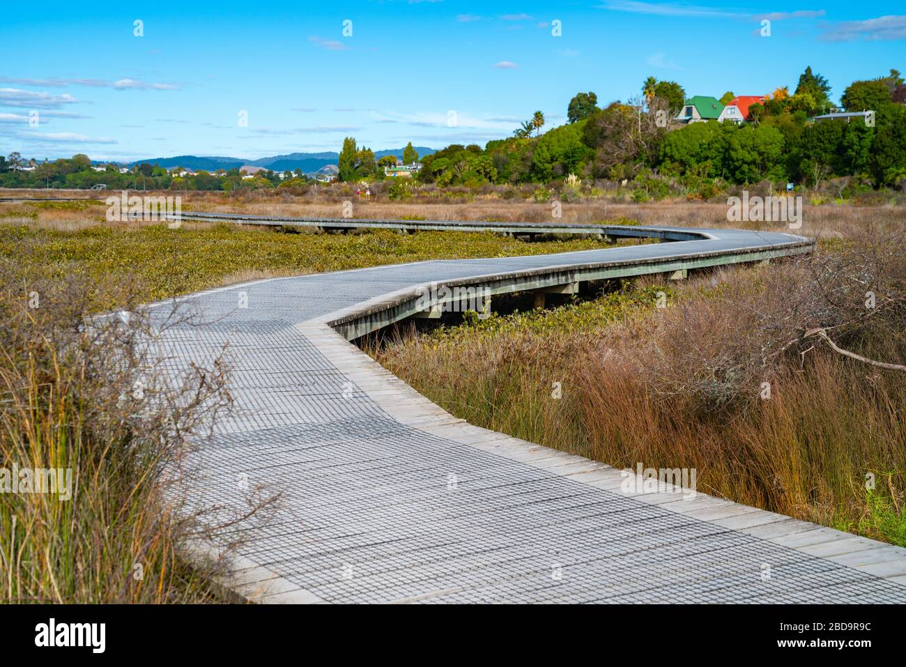 Bay of plenty wetlands environment hi-res stock photography and images ...