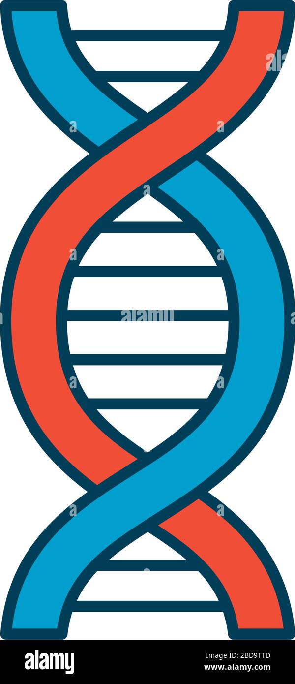 DNA chain icon over white background, line and fill style, vector ...