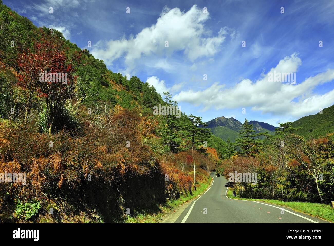 Seasonal scenic shot of Maple trees beside the highway Wuling Farm ...