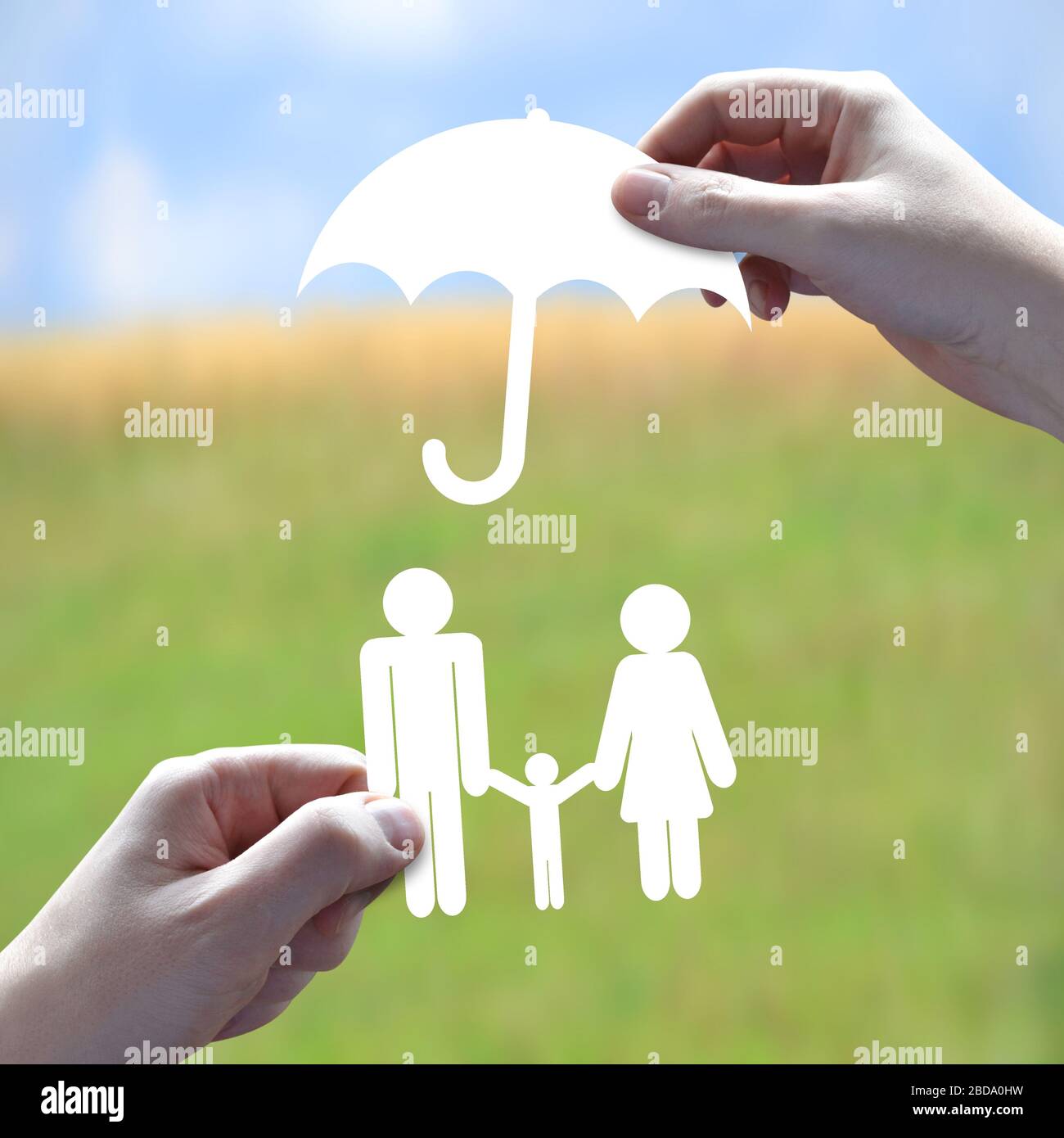 Family/ life insurance concept, hands, papercut Stock Photo - Alamy