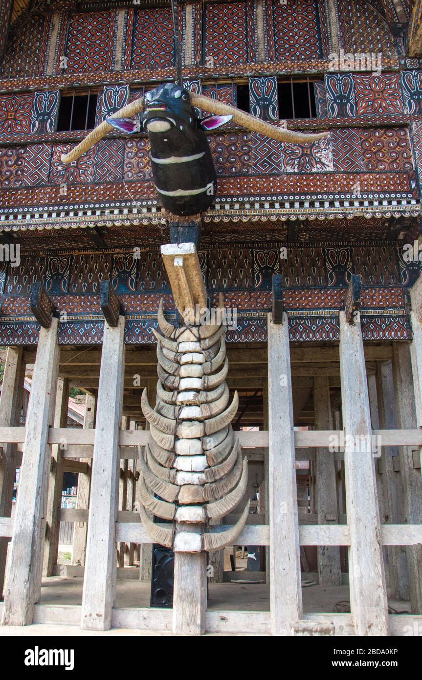 Traditional houses of Toraja tribe at Ke'te Kesu complex in North ...