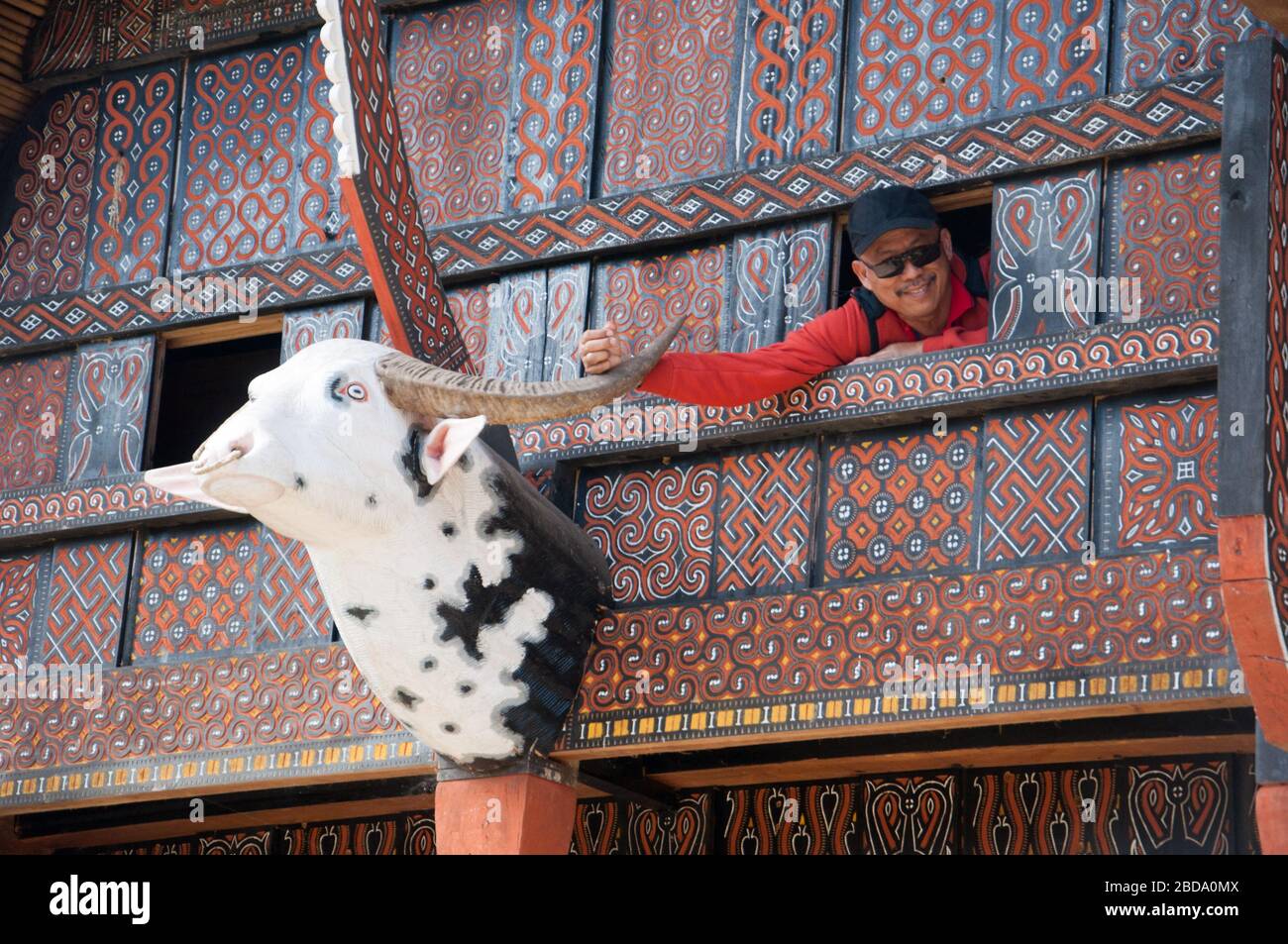 Traditional houses of Toraja tribe at Ke'te Kesu complex in North ...