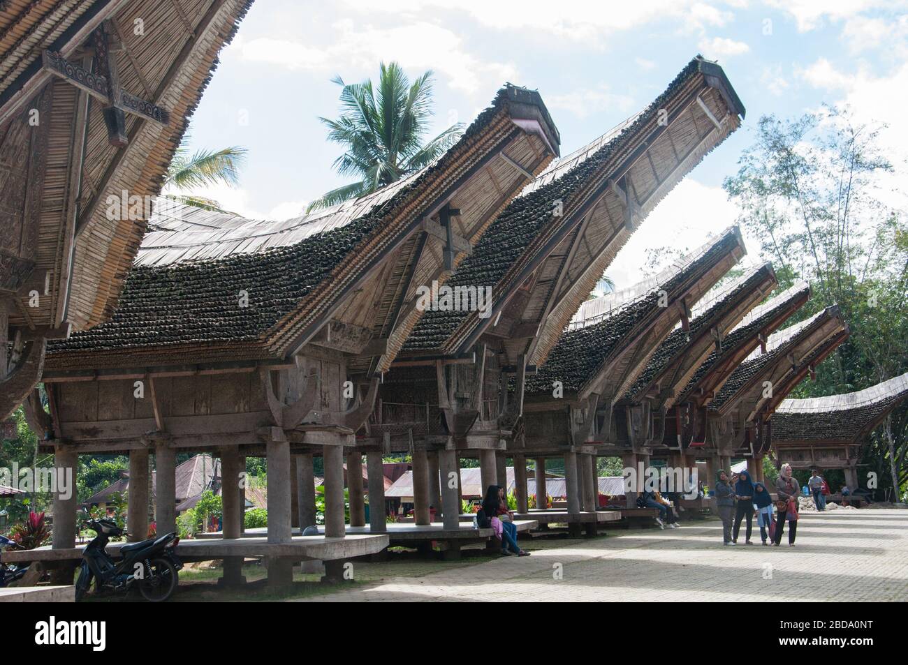 Traditional houses of Toraja tribe at Ke'te Kesu complex in North ...