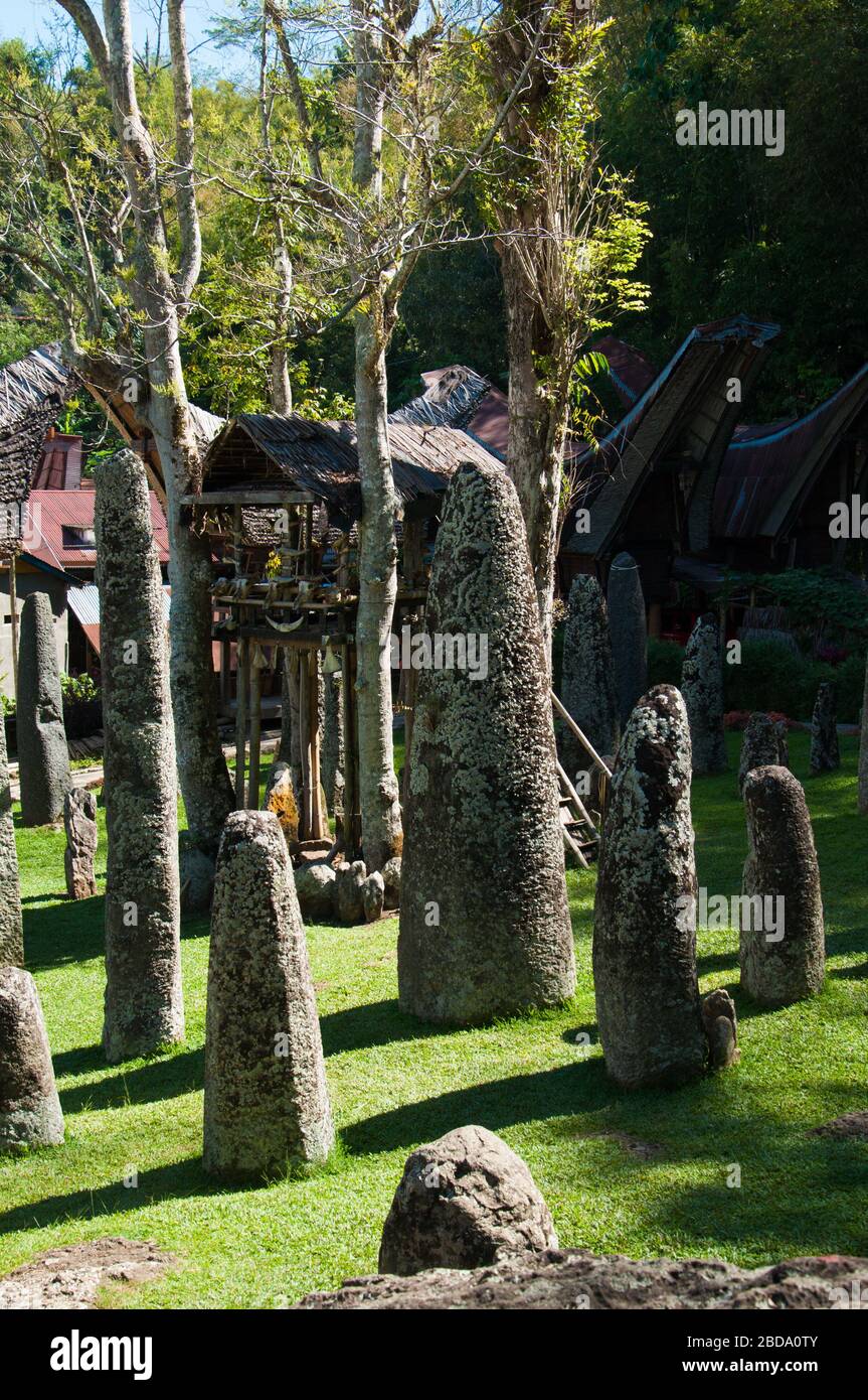 Megalitic site of Bori Kalimbuang in North Toraja, Indonesia. Tana ...