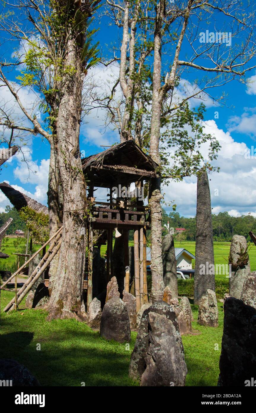 Megalitic site of Bori Kalimbuang in North Toraja, Indonesia. Tana ...