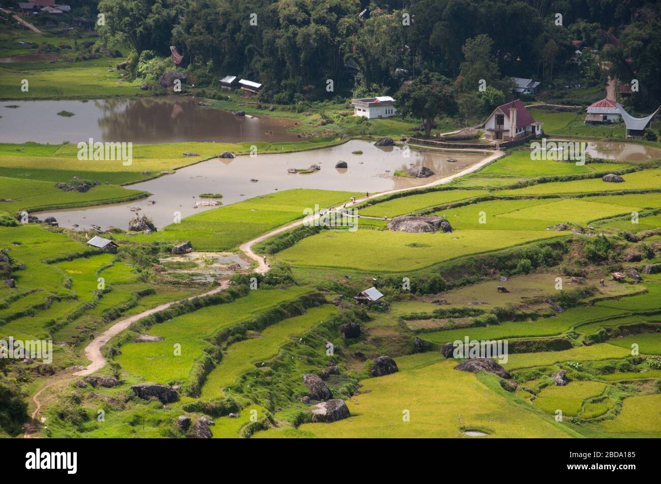 Village landscape of Tana Toraja in Indonesia. Tana Toraja located in ...