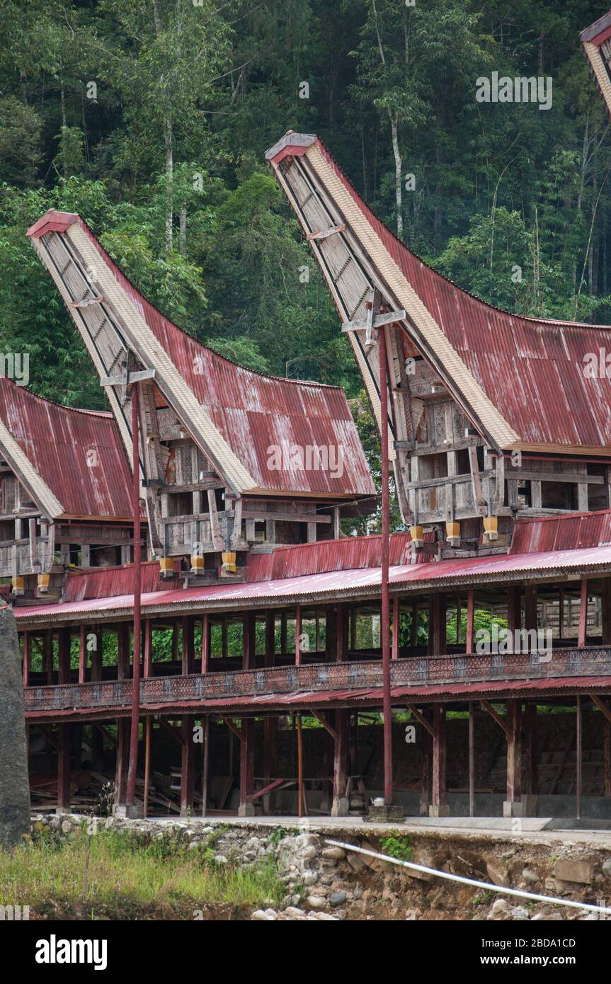 Traditional houses of Toraja tribe. Tana Toraja located in South ...
