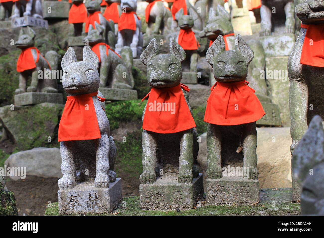 Kitsune statue hi-res stock photography and images - Alamy