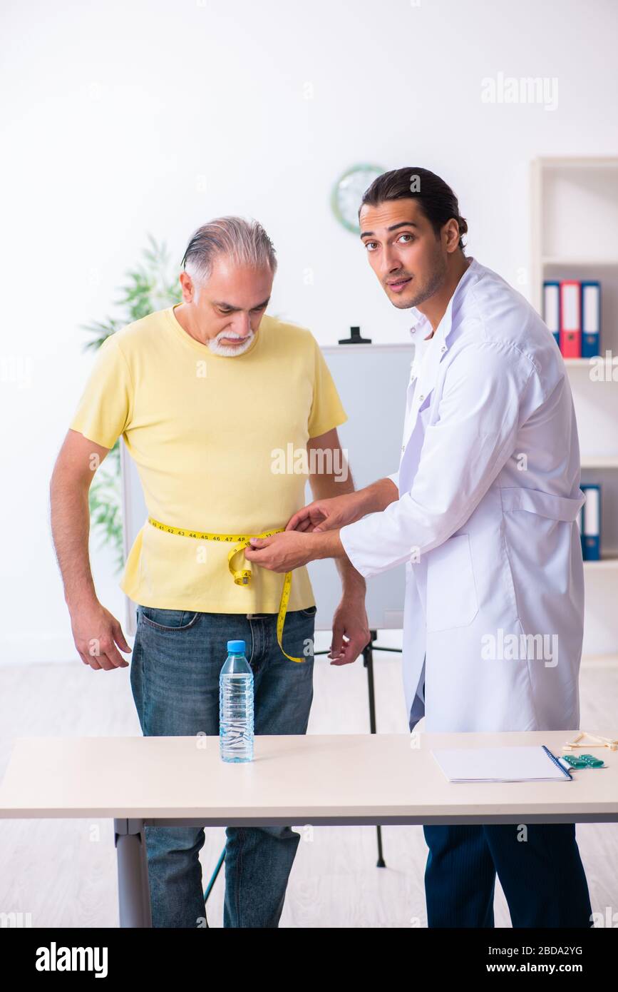 The doctor dietician giving advices to fat overweight patient Stock ...