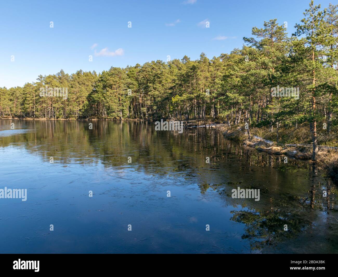 sunny landscape with forest lake, blue sky, tree reflections, Purezers ...